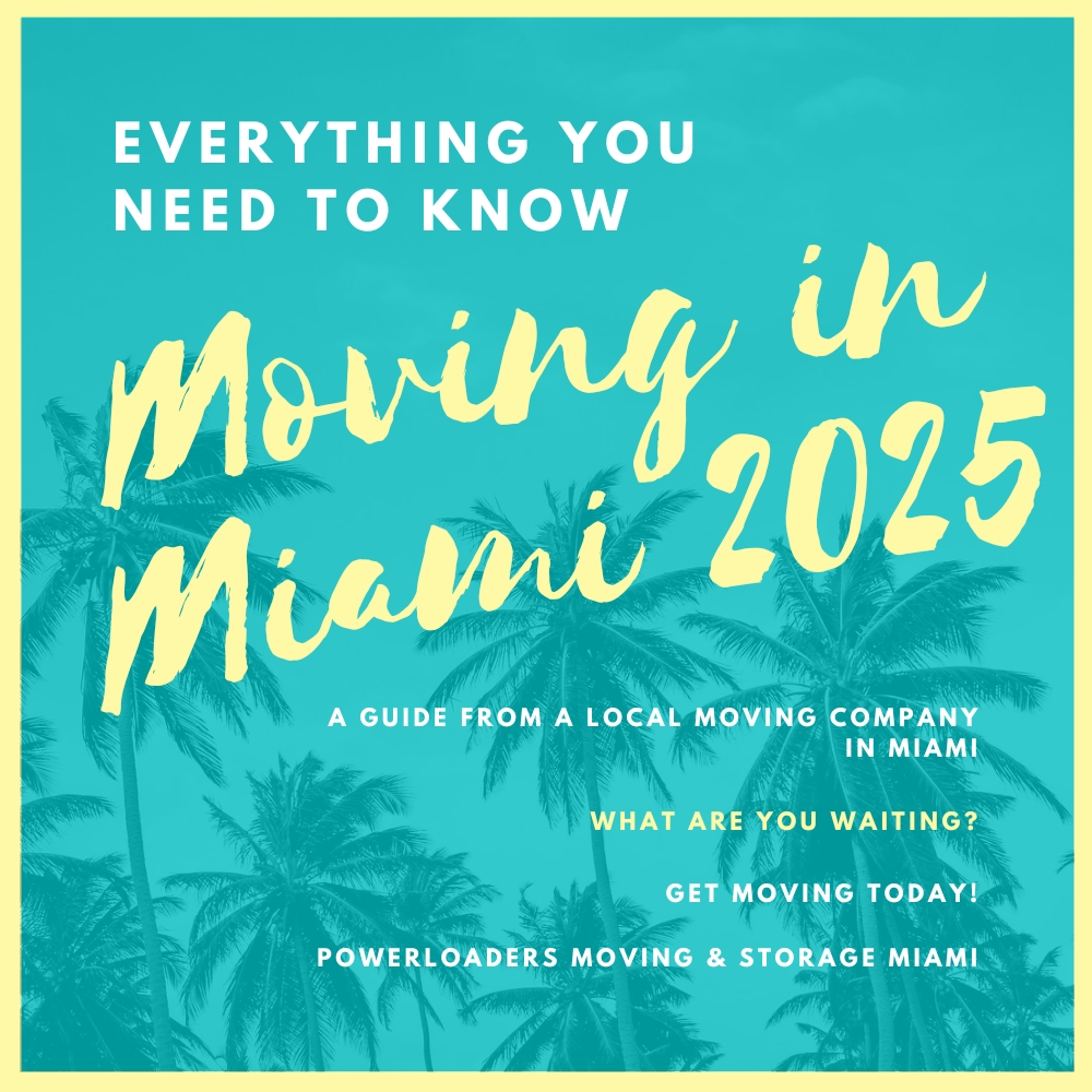 Moving To Miami | Here is Everything You Must Know Before